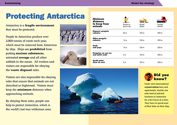 Online Sample | Strategies for Comprehension